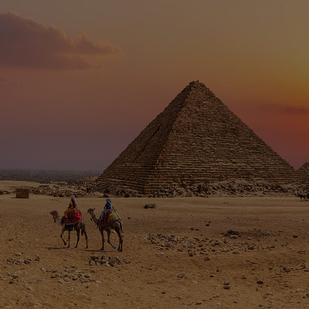 Guided Tours - AV Travel